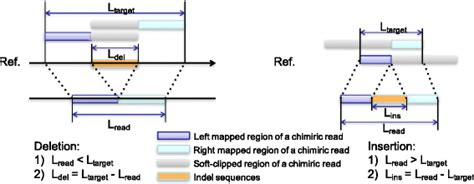 Transindel Indel Detection From Dna And Rna Sequencing Data Rna Seq Blog