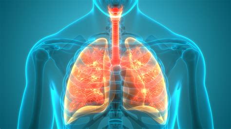 Notus Trial Confirms Dupixent Benefit In Copd With Type 2 Inflammation Hcplive