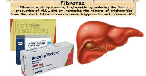 Fibrates Fenofibrate Gemfibrozil Side Effects Dosage