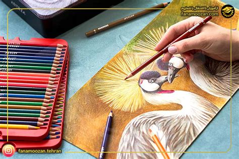 آموزش نقاشی با مداد رنگی دوره مقدماتی تا حرفه ای نقاشی مدادرنگی