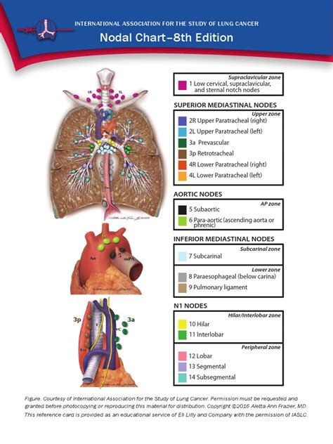 Nodal Chart 8th Edition Pdf