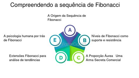 Sequencia De Fibonacci Corpo Humano