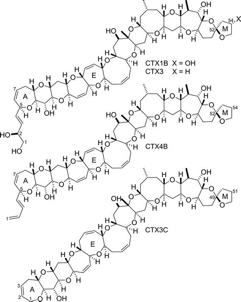 Synthesis Of The A−f Fragment Of The Pacific Ciguatoxin Ctx3c By