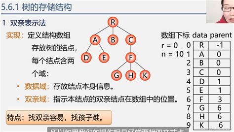 树与哈夫曼树详解 Csdn博客