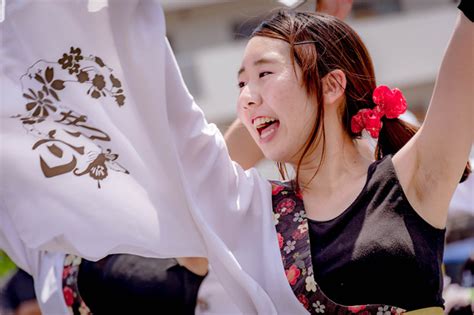 犬山踊芸祭2018 高知学生旅鯨人 祭りびと2
