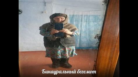 В волосатую пизду входит член фото