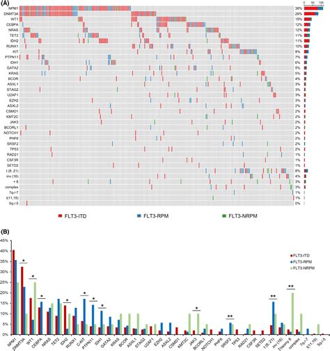Mutation Spectrum Of Flt3 And Significance Of Non‐canonical Flt3 Mutations In Haematological