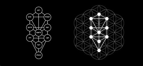 Geometry Tree Of Life Symbol Flower Life Tree Life Sacred Geometry