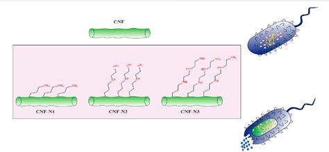 Figure 1 From Cellulose Based Nanofibril Composite Materials As A New
