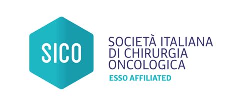 Sico Congress Gem Italy
