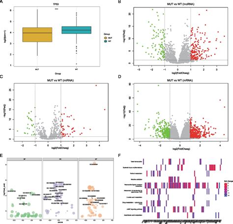 Differentially Expressed Genes Analysis In Mutated And Wild Type Tp3 Download Scientific