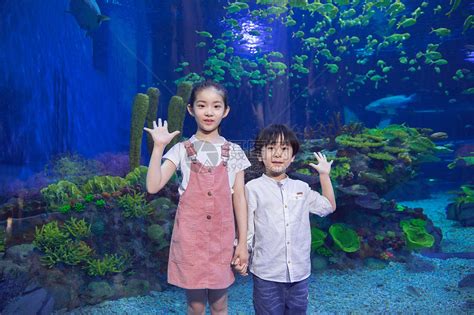 姐弟参观海洋馆高清图片下载 正版图片501351984 摄图网