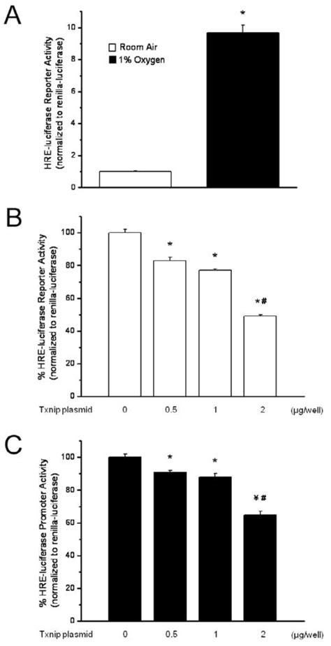 Thioredoxin Interacting Protein Inhibits Hypoxia Inducible Factor Transcriptional Activity