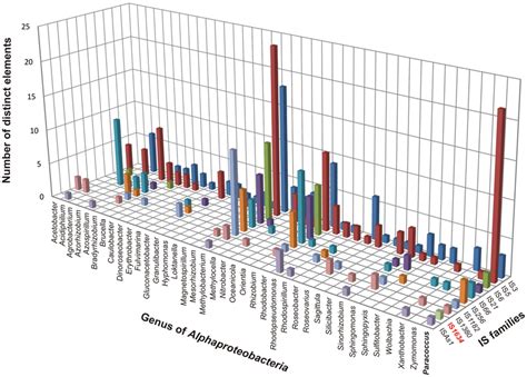 Distribution Of Is Families Identified In Paracoccus Spp Among Other