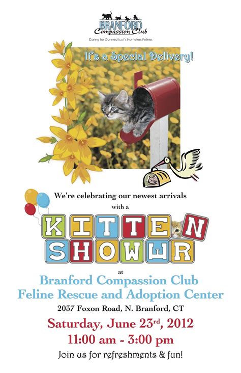 Branford Compassion Club Blog Join Us Saturday For Our Kitten Shower