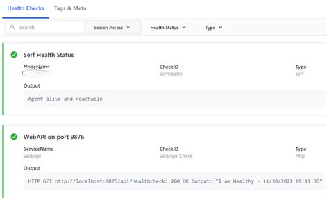 Display Custom Health Report In Consul Ui Consul Hashicorp Discuss