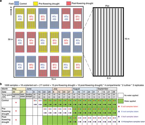 Experimental Design A Field Layout Of The 18 Plots 16 × 8 M² Each In