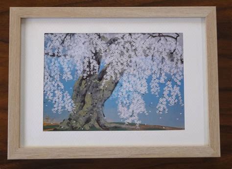 Yahoo オークション 人気 中島千波 醍醐の枝垂桜貴重な画集から