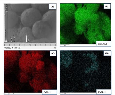Figure 4 From Ammonia Gas Sensors Based On Undoped And Ca Doped Zno Nanoparticles Semantic Scholar