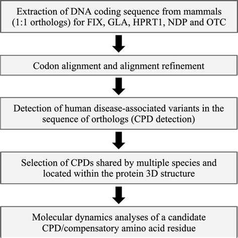Workflow Of The Strategy Used In This Work Download Scientific Diagram