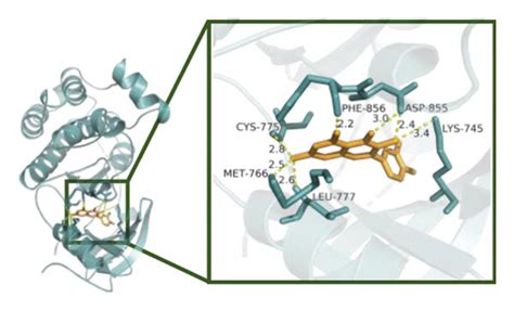 The Docking Modules With Binding Energy Less Than −7 0 Kcal Mol A Download Scientific