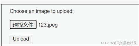 文件上传漏洞实验 通过截取请求绕过前端javascript验证进行文件上传 Csdn博客