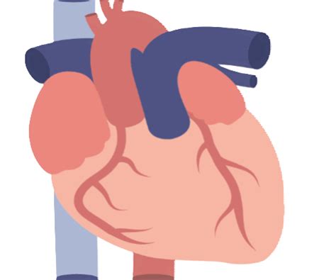 Eras Implementation Program Eip By Encare