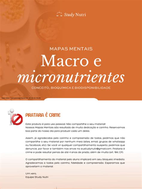 Sn Mapas Mentais Macro E Micronutrientes 2023 Pdf Vitamina Nutrientes