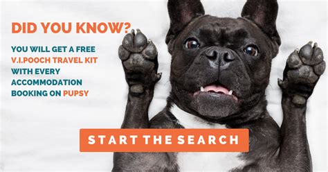 Pet Friendly Accommodation | Pupsy