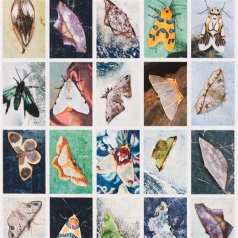 Stream Wtf Dolly Houl By Mochila Listen Online For Free On Soundcloud