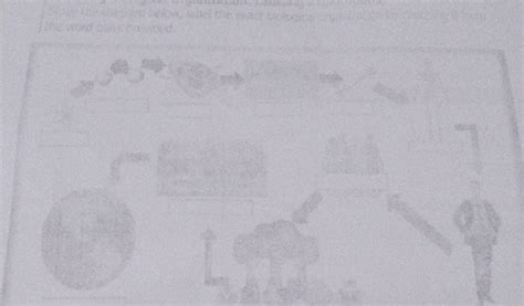 The Image Contains A Flowchart Showing A Studyx