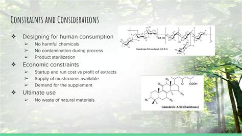 Ganoderma Lucidum Triterpene And Polysaccharide Extraction For Medicinal Applications Ppt