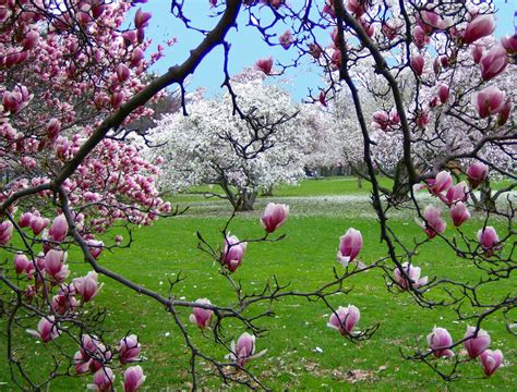 Desktop Wallpaper Spring Scenes ① WallpaperTag