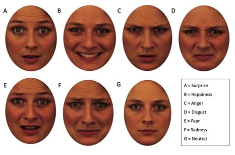 Example Set Of Facial Expressions Download Scientific Diagram