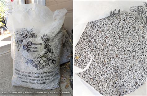 My Succulent Potting Soil Mix 2022 Update