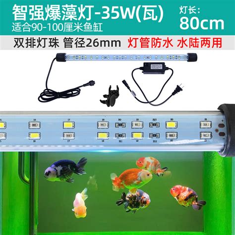 兰寿金鱼专用鱼缸灯led灯防水全光谱超亮爆藻灯出苔潜水灯照明灯 产品关键词金鱼缸灯led灯哪里卖得到德根宝鱼缸灯兰寿鱼缸爆藻灯