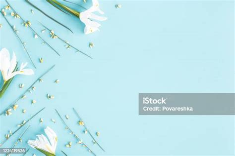 꽃 조성물 파란색 배경에 봄 꽃입니다 플랫 레이 상단 보기 0명에 대한 스톡 사진 및 기타 이미지 0명 3월 8 Istock