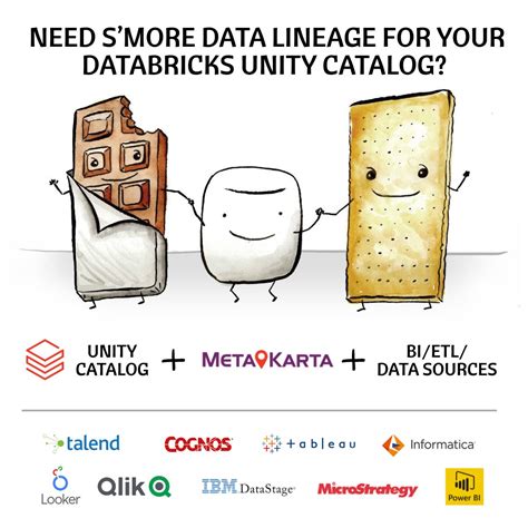 Meta Integrations Databricks Technology Partnership Certification