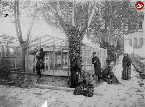 تصاویر ژست‌های عکاسی دختر ناصرالدین شاه عکس‌های به جا مانده از عصمت