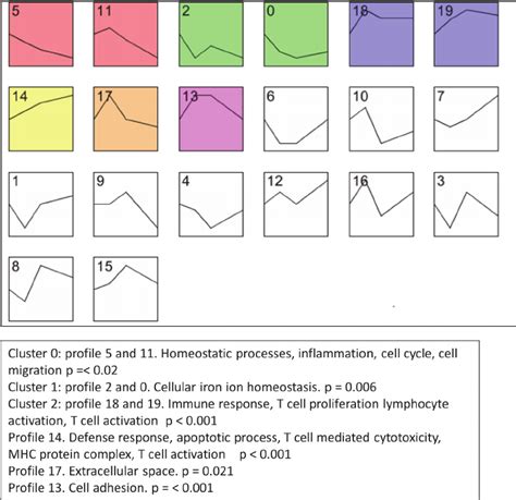 Time Series Clustering Of M1 Microarray Gene Set Data Using Stem The Download Scientific