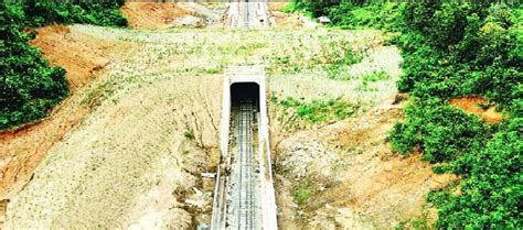 Dohazari Coxs Bazar Railway First Elephant Overpass In South Asia