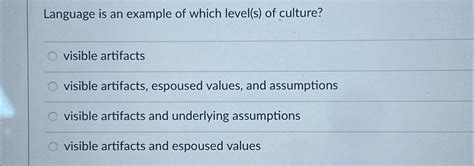 Solved Language Is An Example Of Which Levels ﻿of