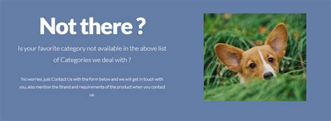 Any Missing Category By Zyber Buy Medium