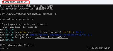 Npm Intasll 安装报错 Error Epermsyscall Mkdir ‘path Dsoftnodejsnode