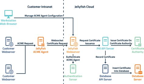 What Is The ACME Protocol Cogitogroup Net