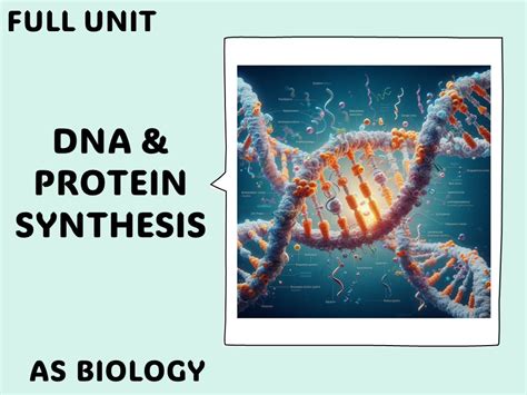 Dna And Protein Synthesis As Full Unit Teaching Resources