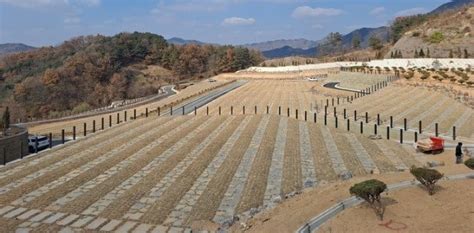 보은군 공공 장사시설 이용 거주제한 완화 파이낸셜뉴스