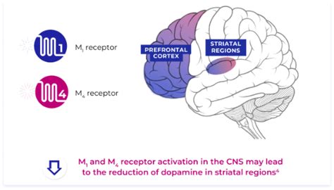 About Cobenfy™ Xanomeline And Trospium Chloride For Hcps