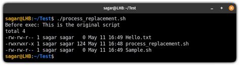Using Exec Command In Bash Shell Scripts 4 Examples