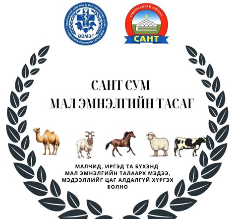 Өвөрхангай аймгийн Сант сумын Мал эмнэлгийн тасаг Ulaanbaatar